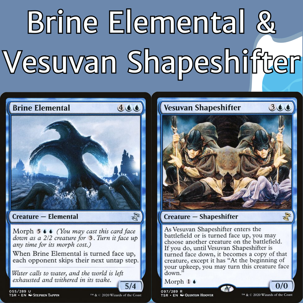 Brine Elemental + Vesuvan Shapeshifter - 2 Card Combo – Collectors Cove