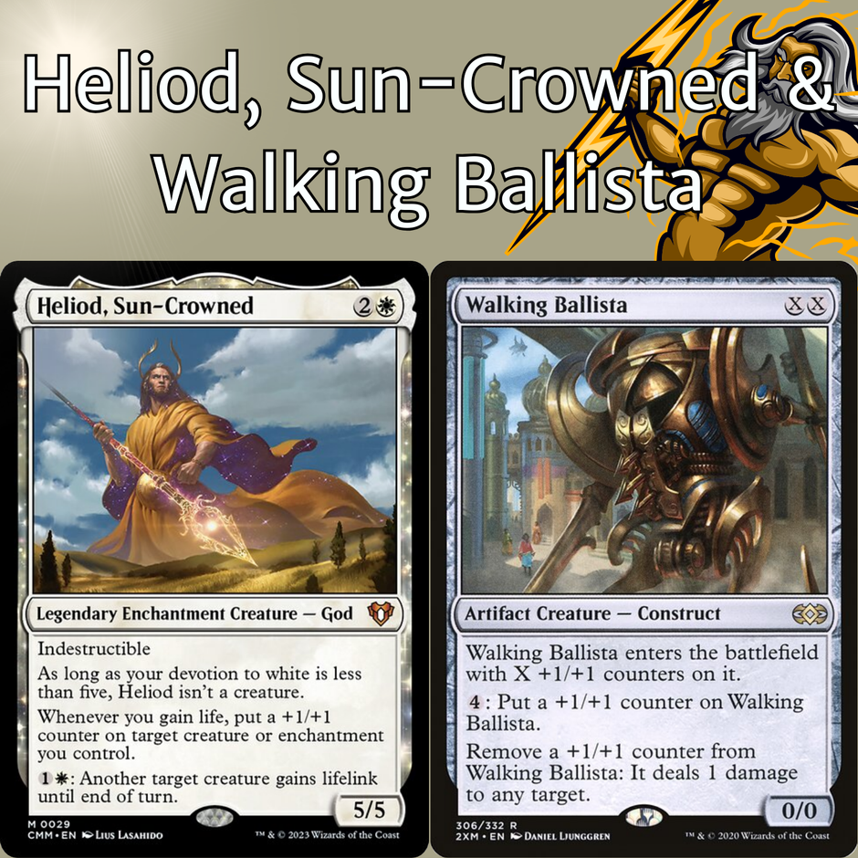 Collectors Cove MTG